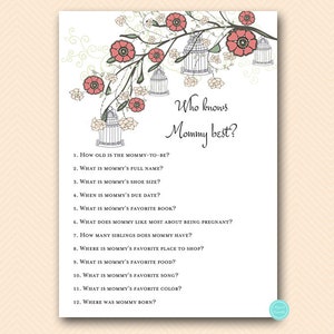 Spring Baby Shower Games, Instant Download, Spring Birdcage Baby Shower ...