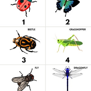 100x Insect and Bugs Bingo Cards, Printable Birthday Party Bingo, Party ...
