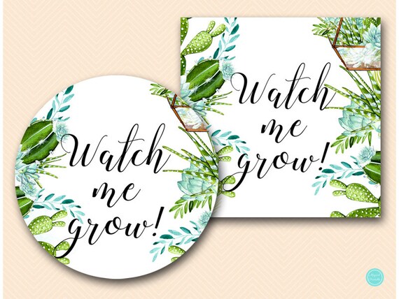 Watch me grow tags, Succulent Baby Shower Thank you tags, Succulent ...