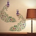 Large Peacock Stencil - Reusable Bird Stencil by Craftstar - Etsy