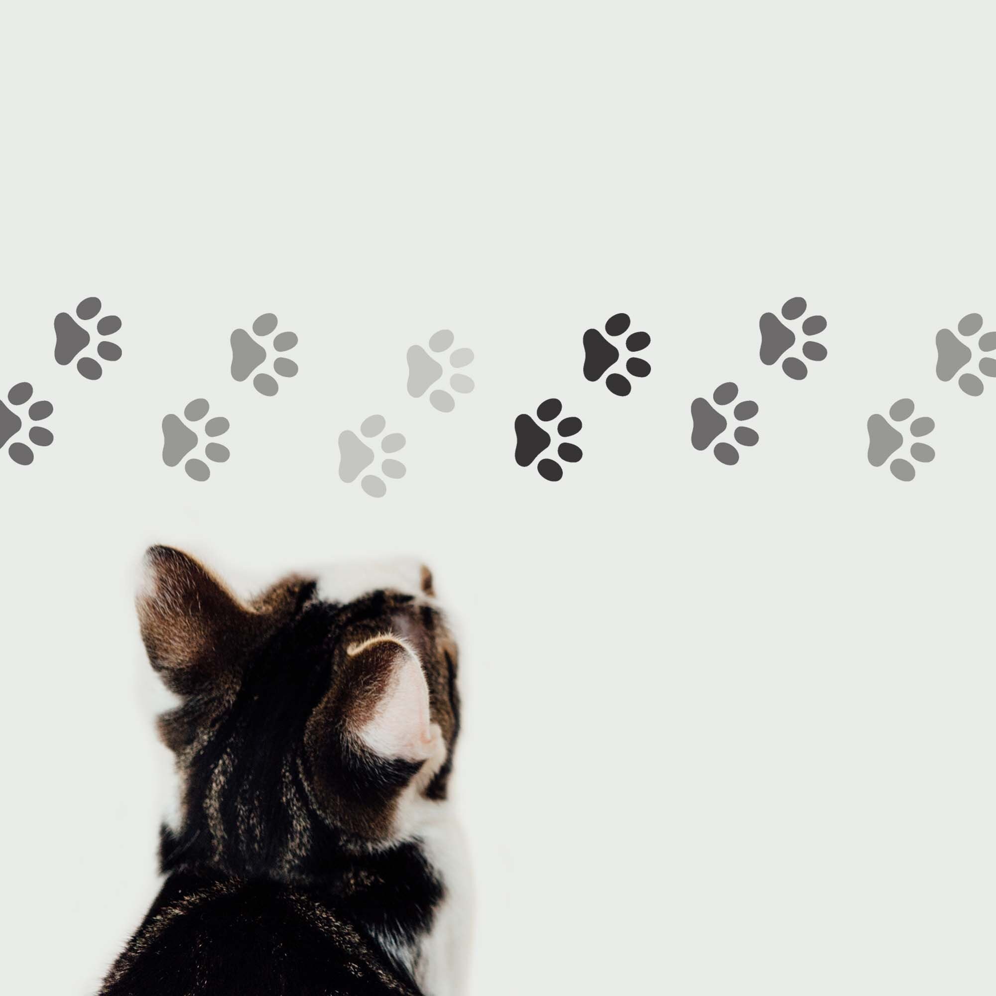 Paw Print Border Stencil Animal Pattern Border Template by | Etsy
