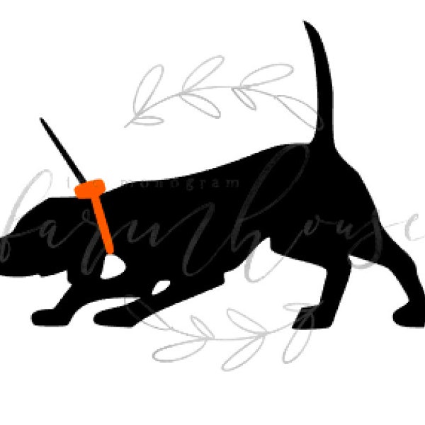 Coon Hunting Svg - Etsy