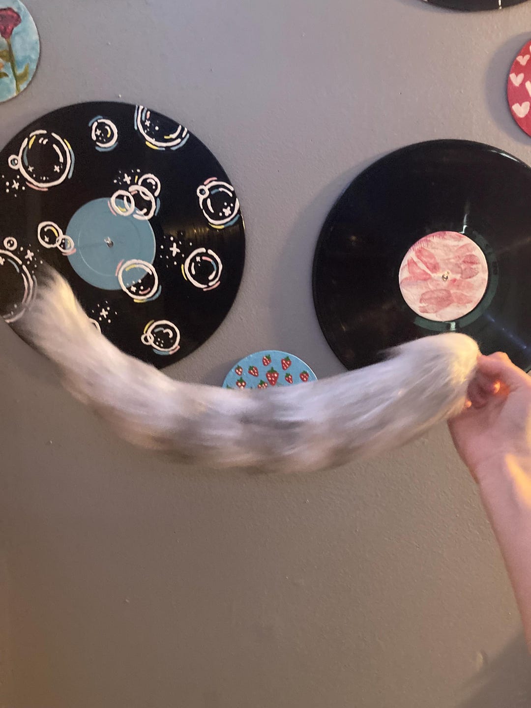 Striped Tail - Fursuit and Cosplay Tail - Elastic Belt Loop - Hand Sewn ...
