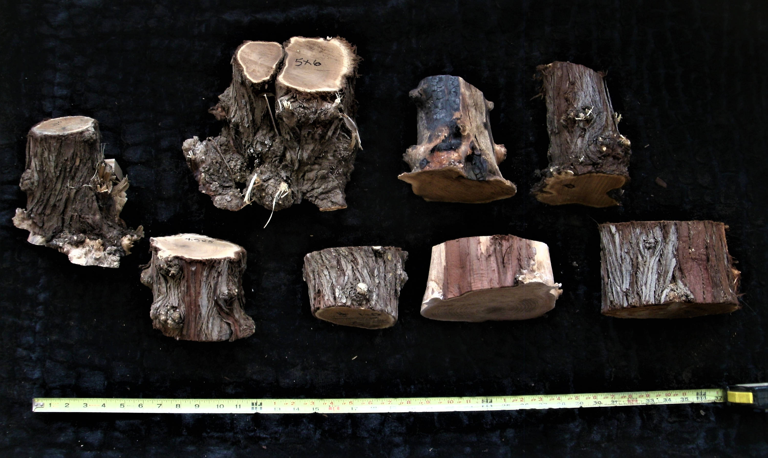 LARGE VARIETY Packs! Chunky Wood Pieces to Turn, Cut & Carve! - Etsy