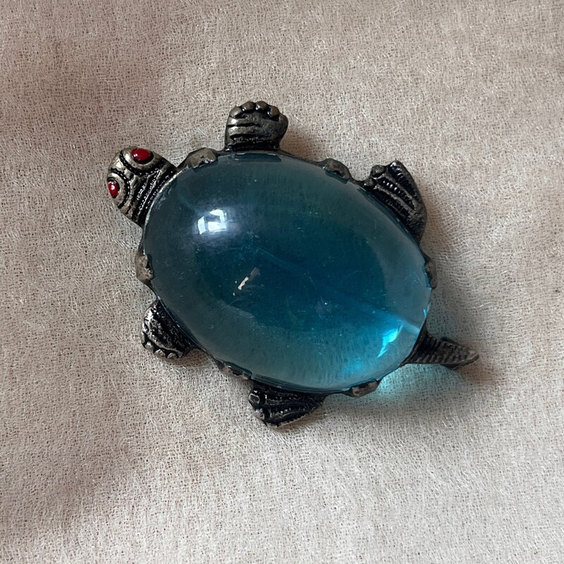 Jelly Belly Turtle - Etsy