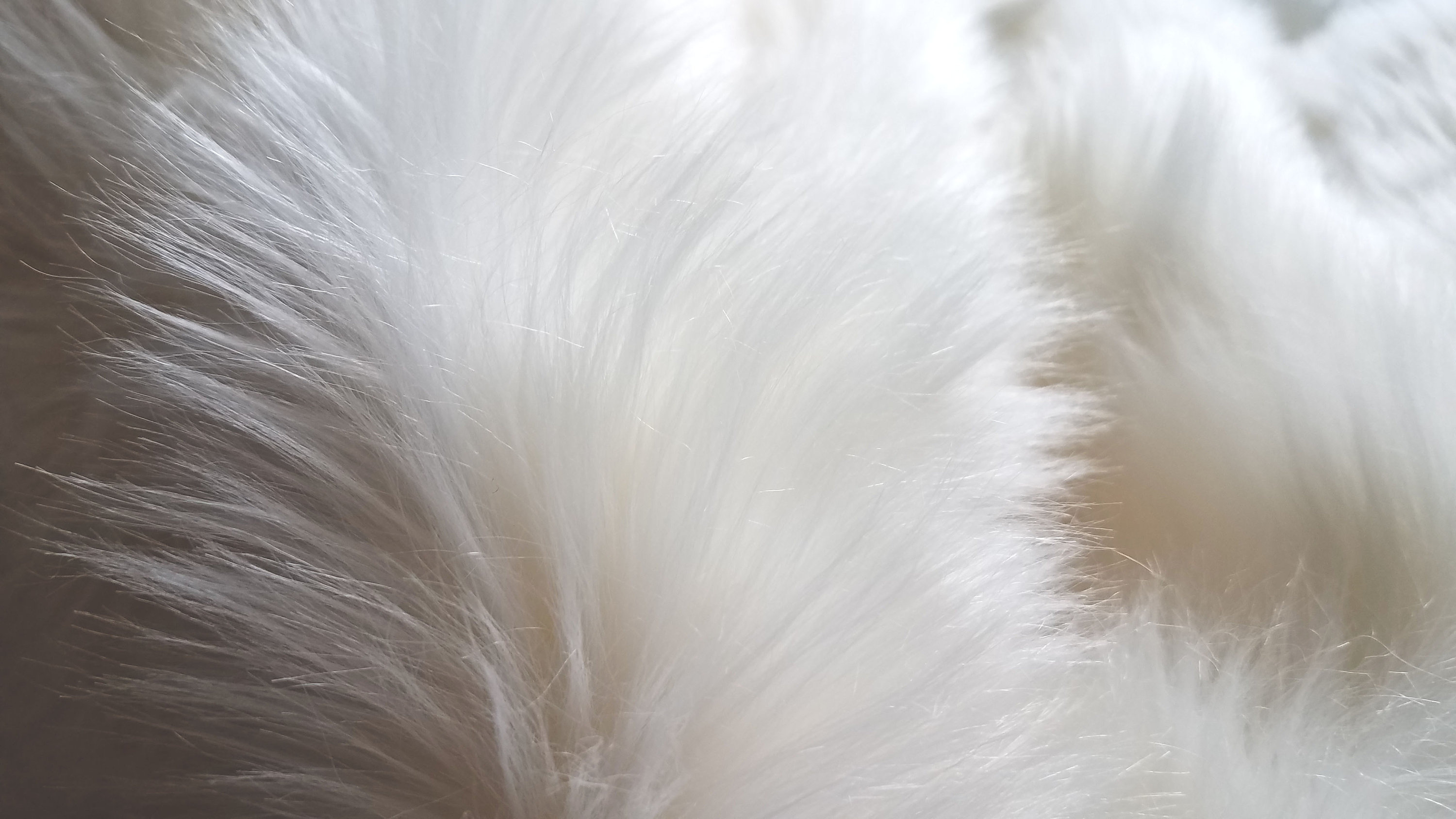 Ivory Faux Fur 2 Pile Cream Fur Craft Squares Ivory - Etsy