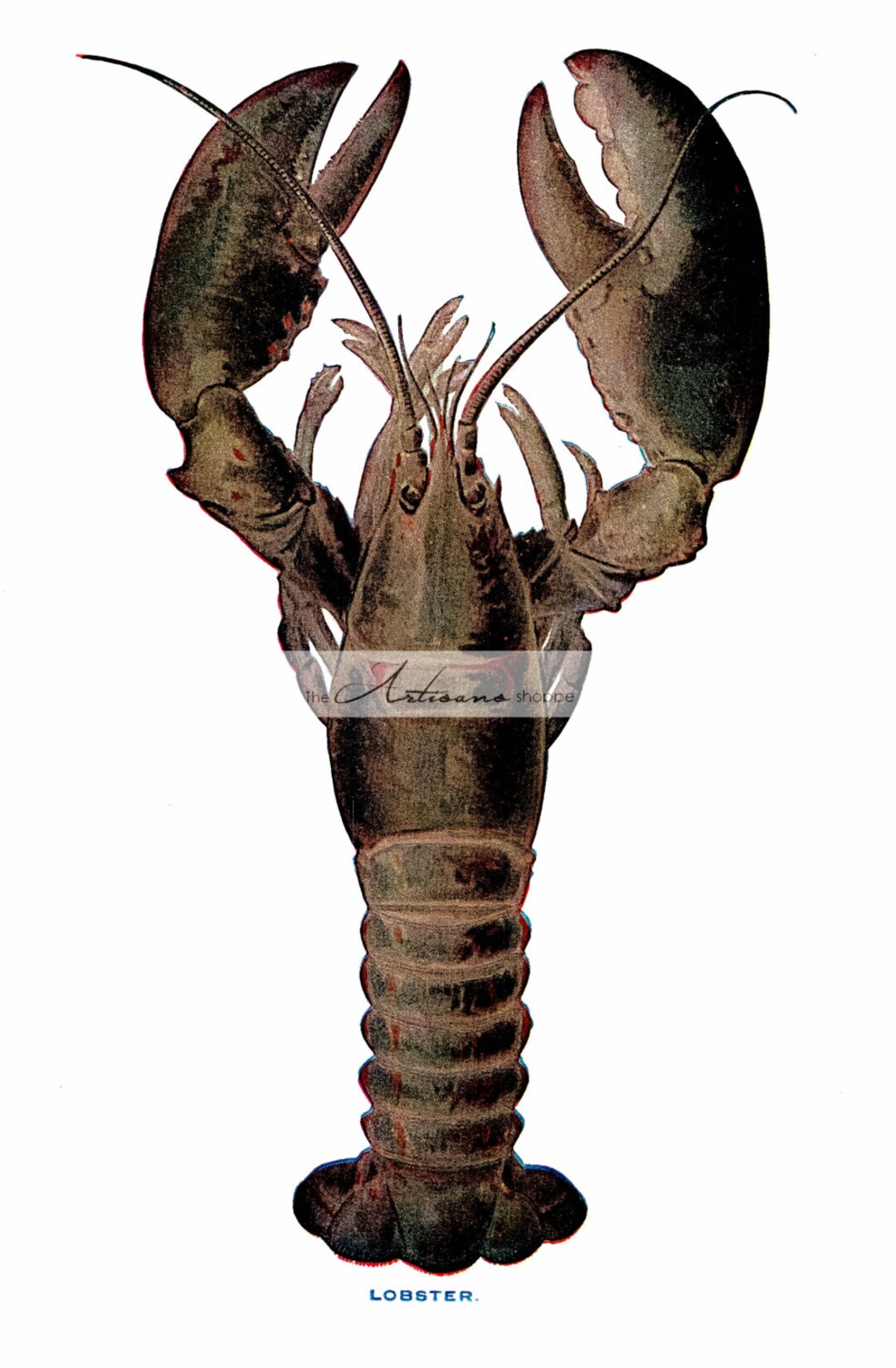 Digital Download Printable Art Lobster Seafood Fishing - Etsy