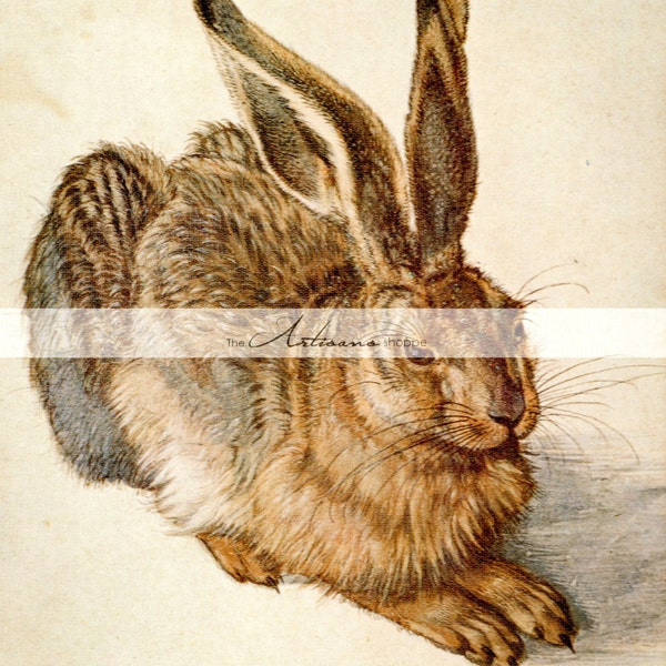 Wild Rabbit Art - Etsy