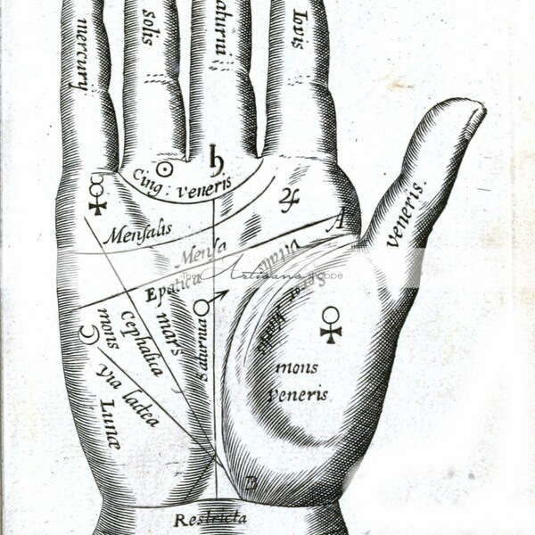 Palm Reading Guide - Etsy