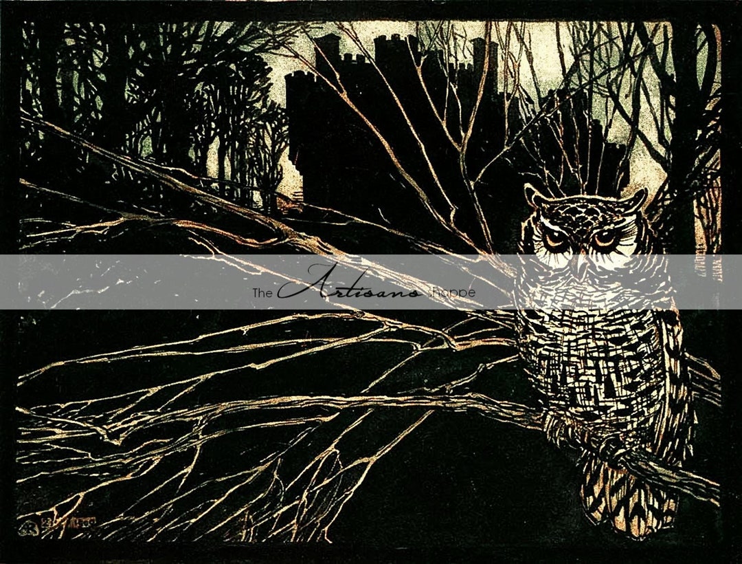 Digital Download Printable Night Owl Arthur Rackham Antique Vintage Art ...