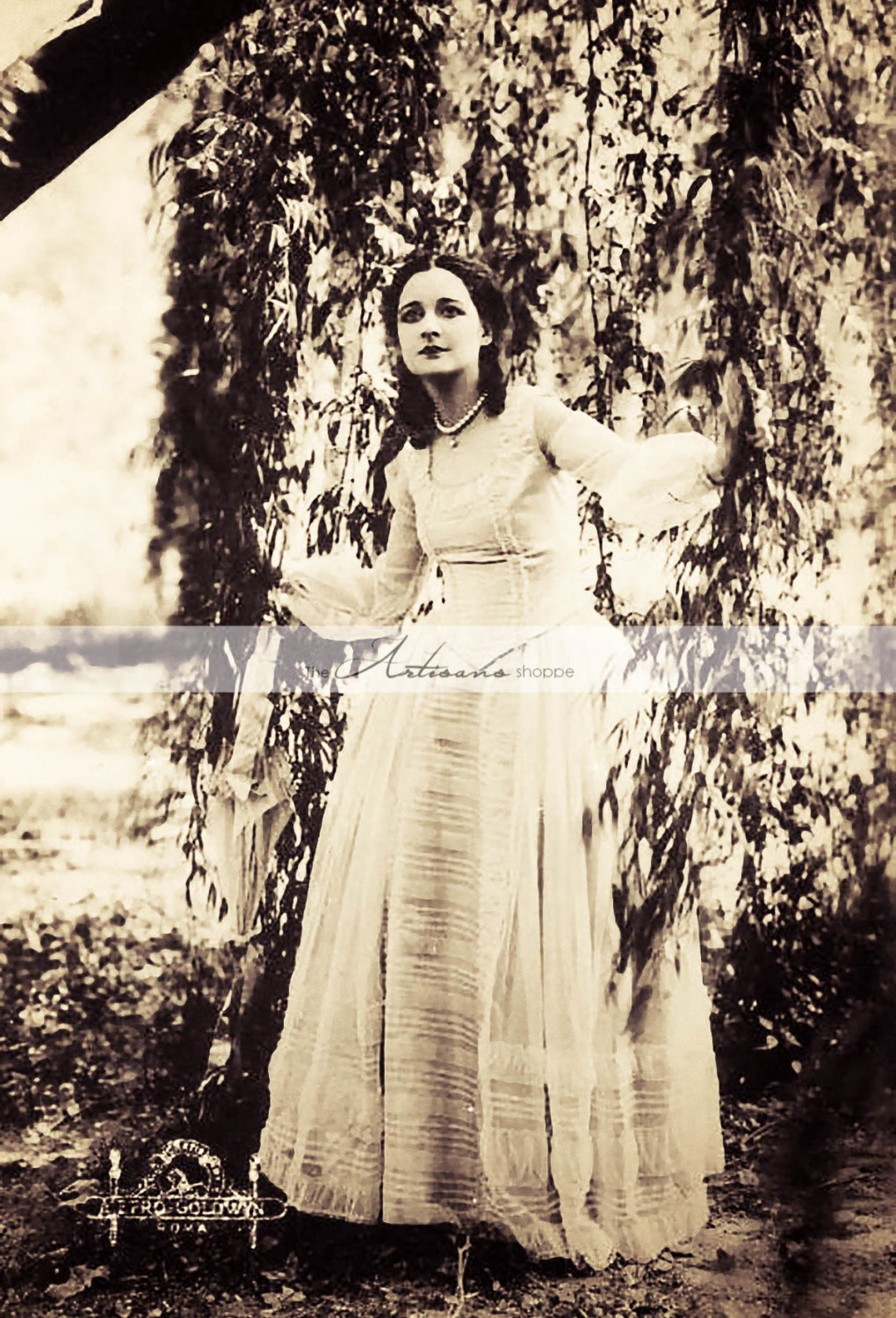 Antique Portrait Woman Under Willow Tree Victorian Photograph - Etsy