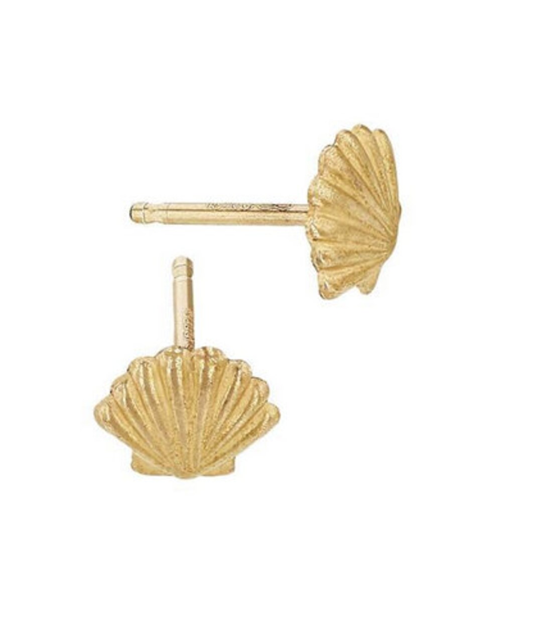 14K Solid Yellow Gold Seashell Stud Earrings / Seashell Push Back ...