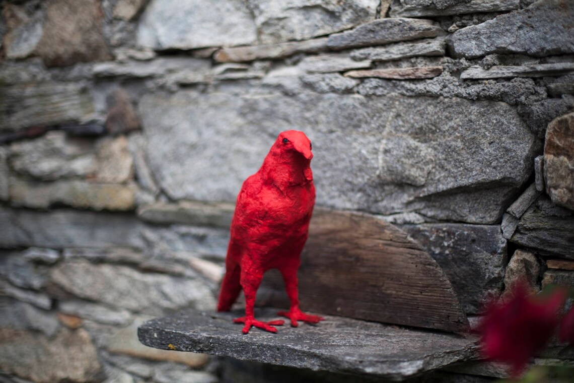 Crow Bird, Red Animal Bird, Paper Mache Art, Red Bird, Black Crow ...
