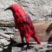 Crow Bird, Red Animal Bird, Paper Mache Art, Red Bird, Black Crow ...