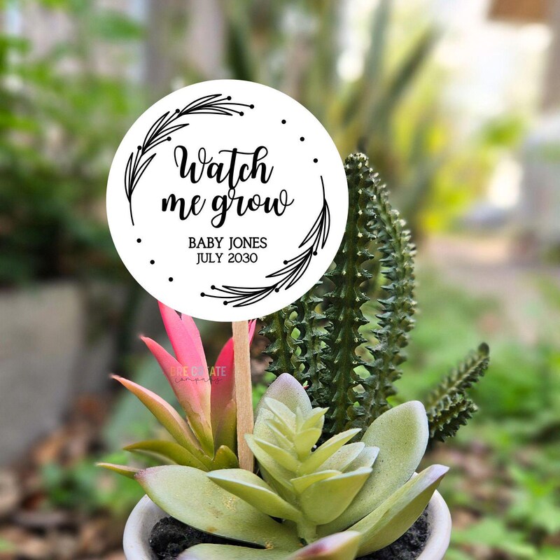 Watch Me Grow Tags - Etsy