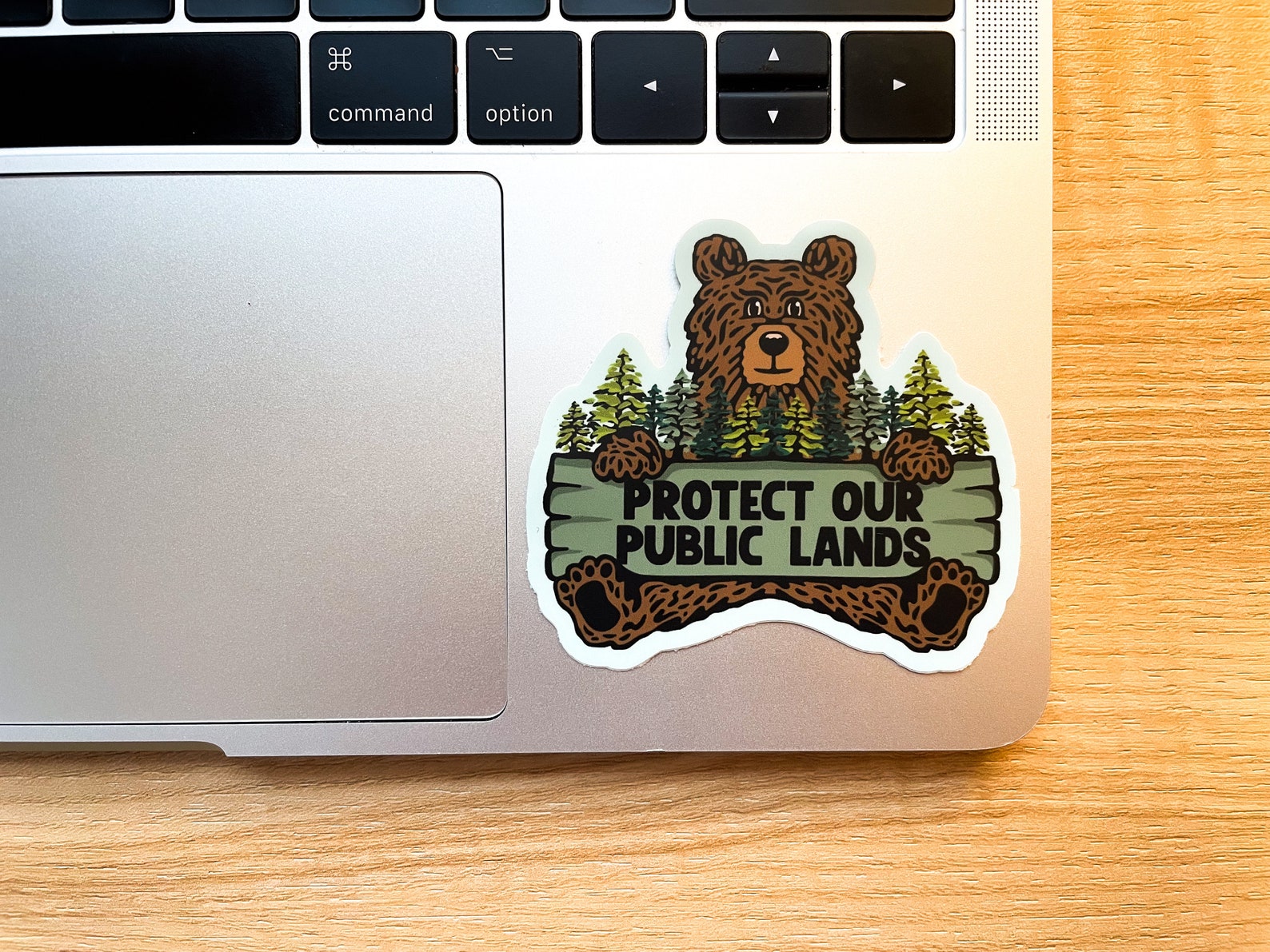 Protect Our Public Lands Bear Sticker | 3" X 3" - Etsy