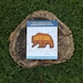 Protect Our Public Lands Grizzly Bear Patch 3 Iron-on - Etsy