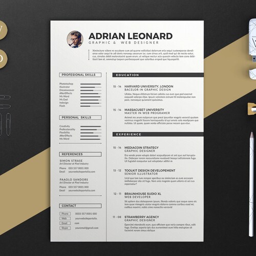 Professional 1 Page Resume Template Modern One Page CV - Etsy UK