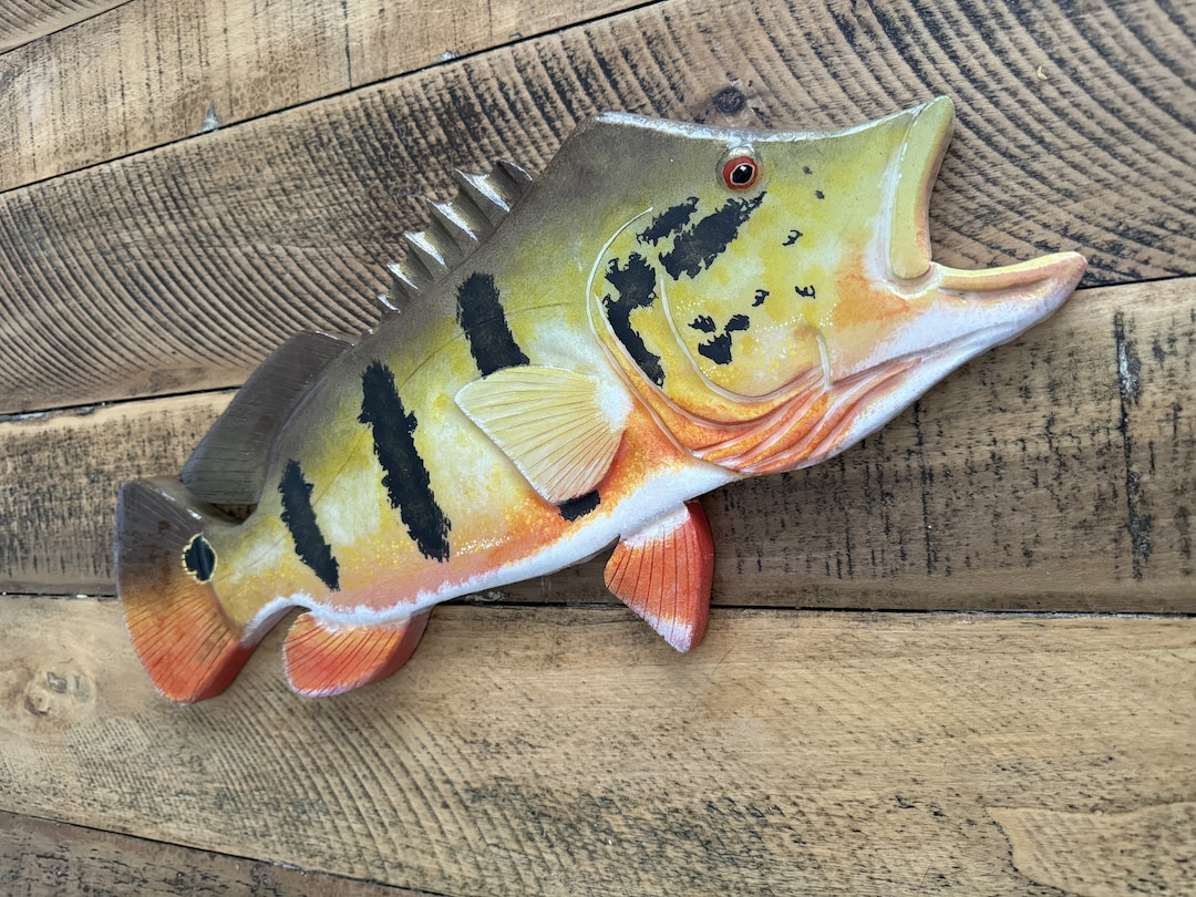 Peacock Bass - Wood Carved Fish Plaque by Austin Philips - Etsy