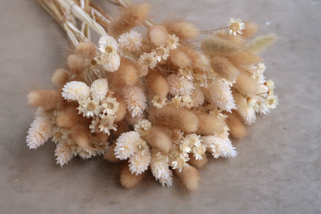 Dried Small Flower Bouquet Lagurus Mini Glixia Phalaris Natural Boho ...