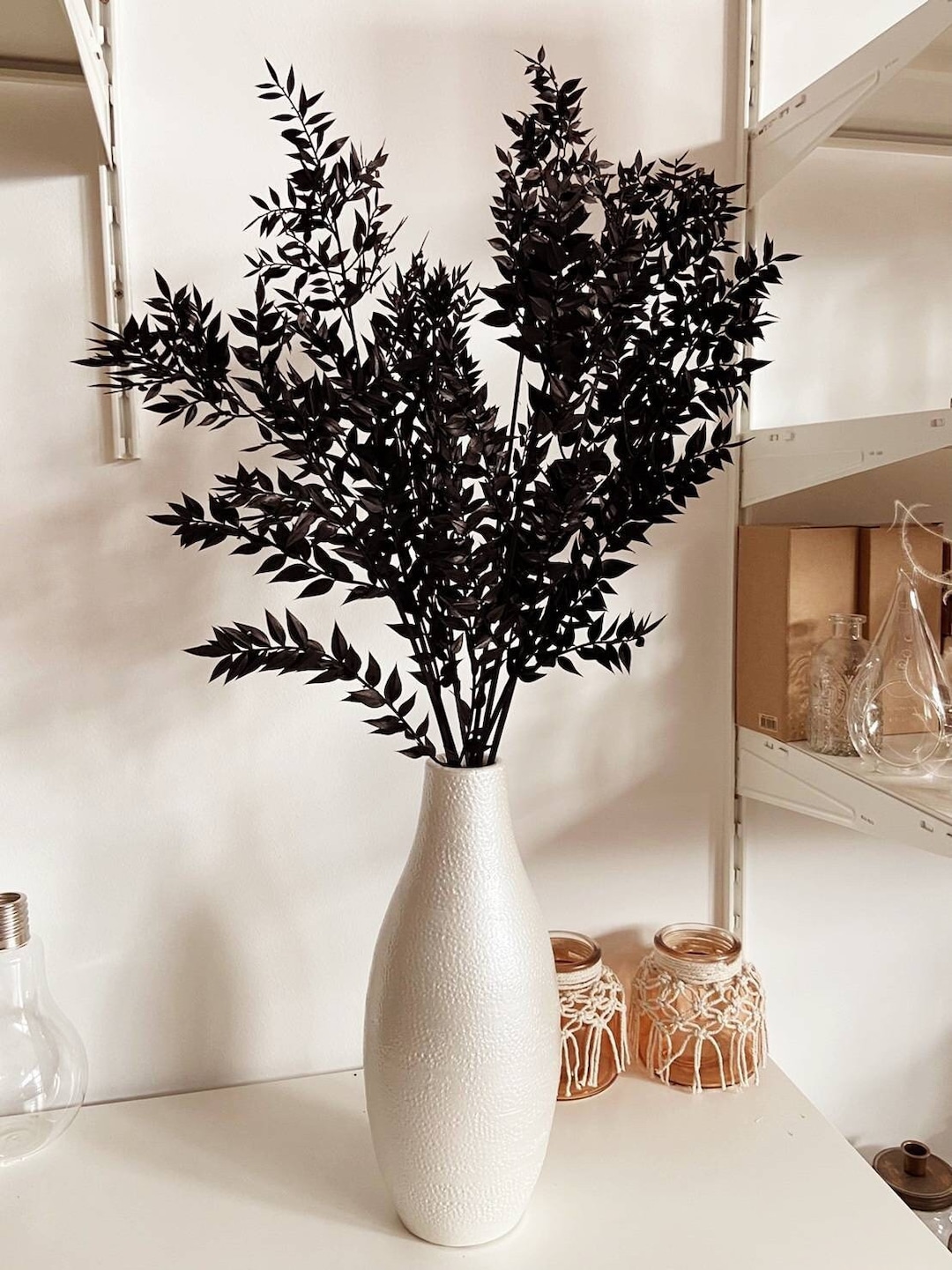 Black Italian Ruscus Black Dried Leaf Black Branch Ruscus - Etsy