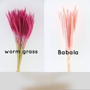 Dry and Preserved Botao Flowers, Dry Babala, Dry Worm Grass in Fuchsia ...
