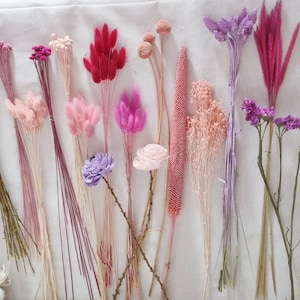 Dry and Preserved Botao Flowers, Dry Babala, Dry Worm Grass in Fuchsia ...