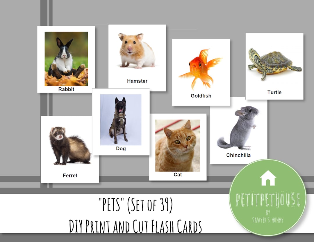 39 Pets Flash Cards | Kids Activity | Children Learning | Toddler ...