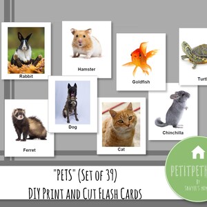 39 Pets Flash Cards | Kids Activity | Children Learning | Toddler ...