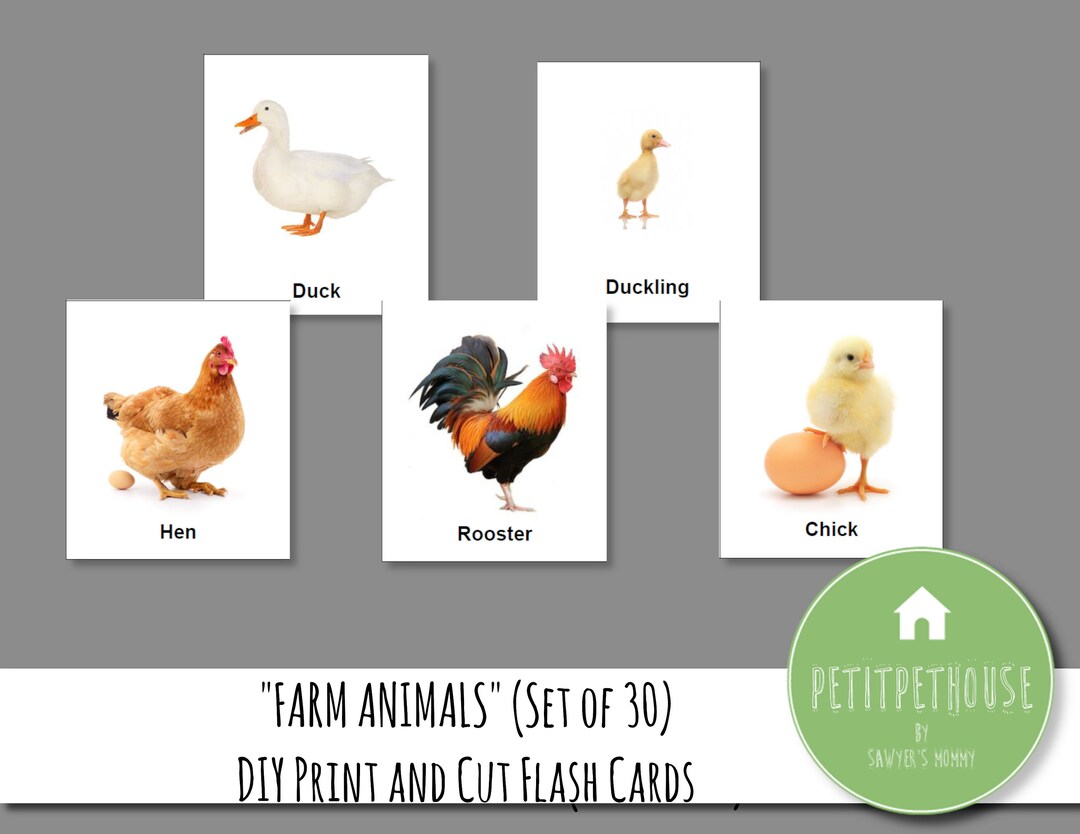 30 Farm Animals Flash Cards | Kids Activity | Children Learning ...