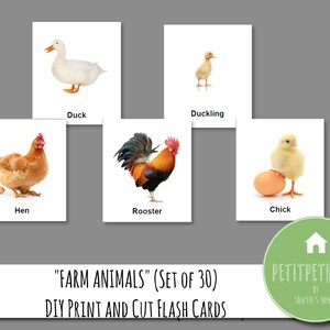 30 Farm Animals Flash Cards | Kids Activity | Children Learning ...