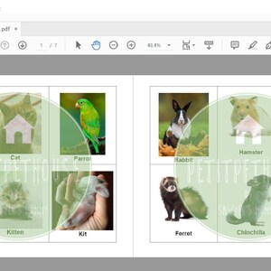 39 Pets Flash Cards | Kids Activity | Children Learning | Toddler ...