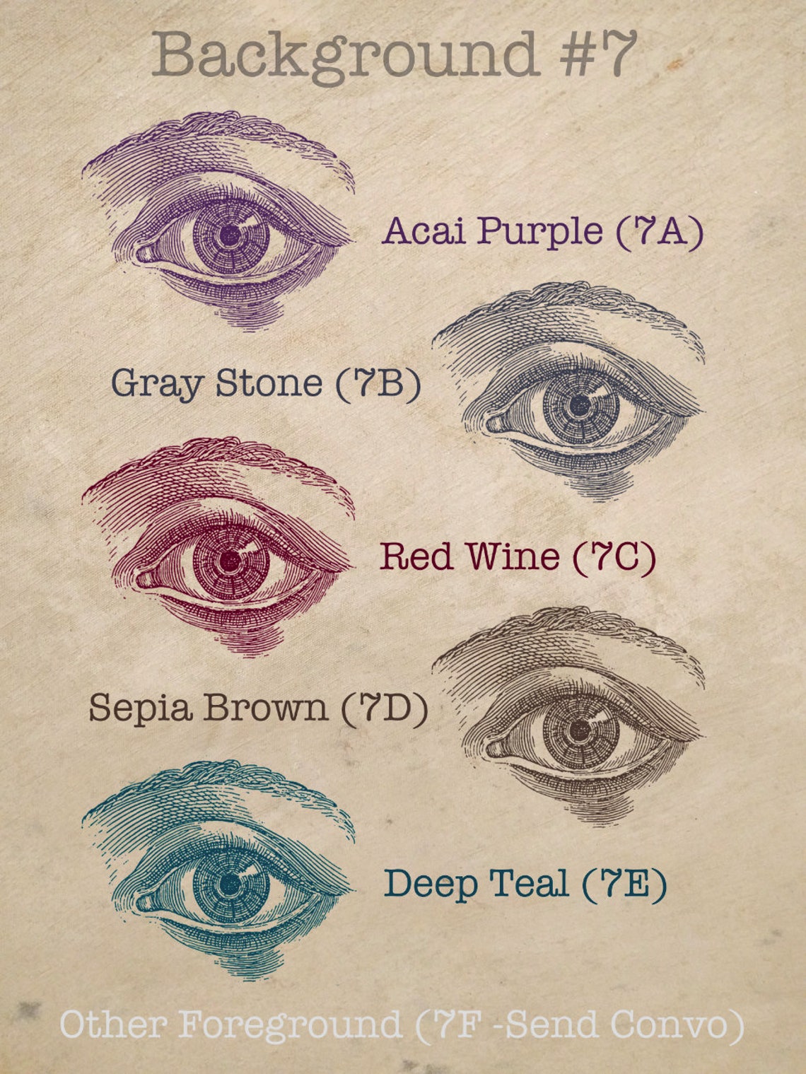 Customizable Grays Anatomy Bronze Back Muscles Chart Charcoal - Etsy