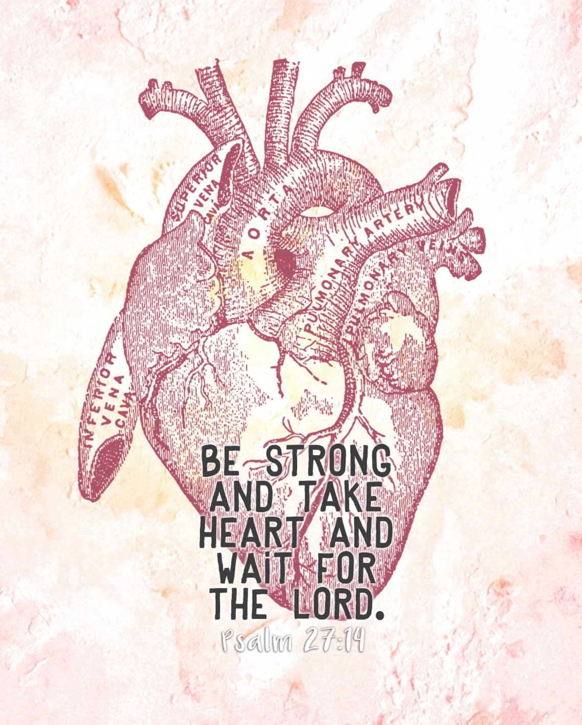 Bible Verse Heart Anatomy Poster Psalm 27:14 Poster Chart Medical ...