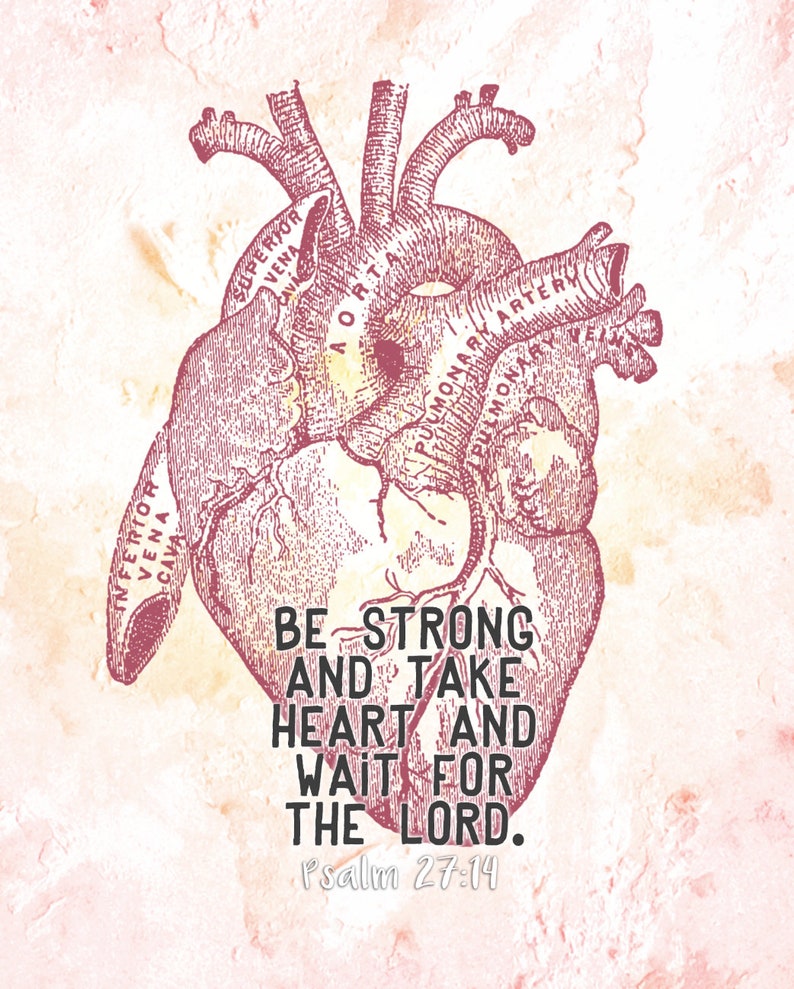 Bible Verse Heart Anatomy Poster Psalm 27:14 Poster Chart - Etsy