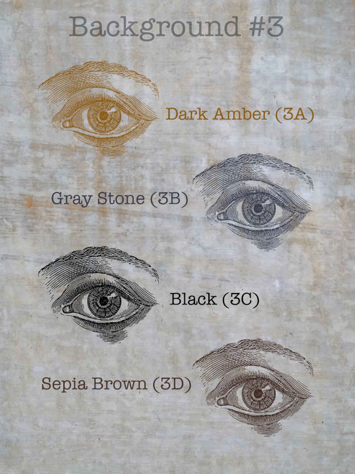 Pharynx et Larynx Voice Box Singer Customizable Grays Anatomy | Etsy