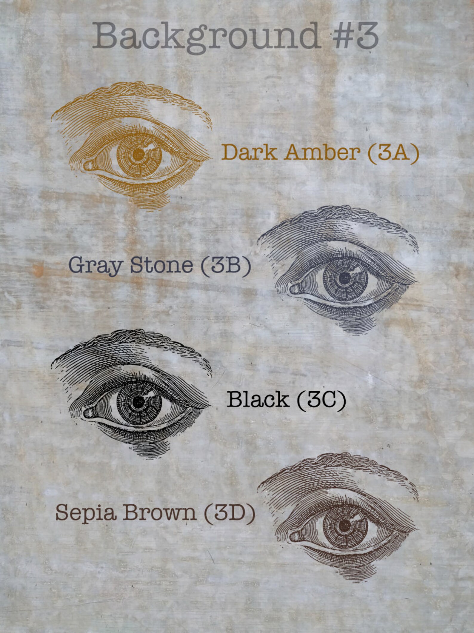 Veternarian Gift Cat Anatomy Poster Customizable Feline - Etsy