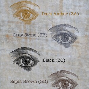 Customizable Grays Anatomy Bronze Back Muscles Chart Charcoal Grey ...
