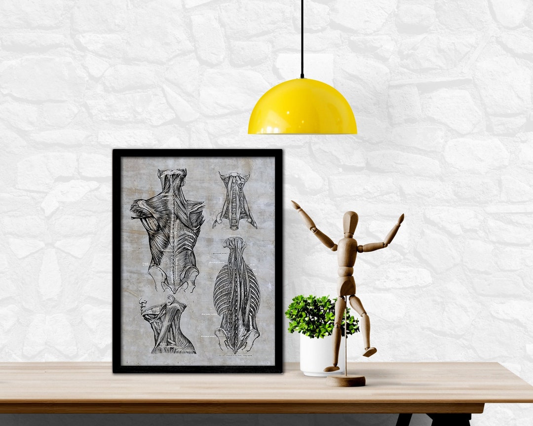 Back and Neck Muscles Print // DIY // 11x14 // Black Grey Textured ...