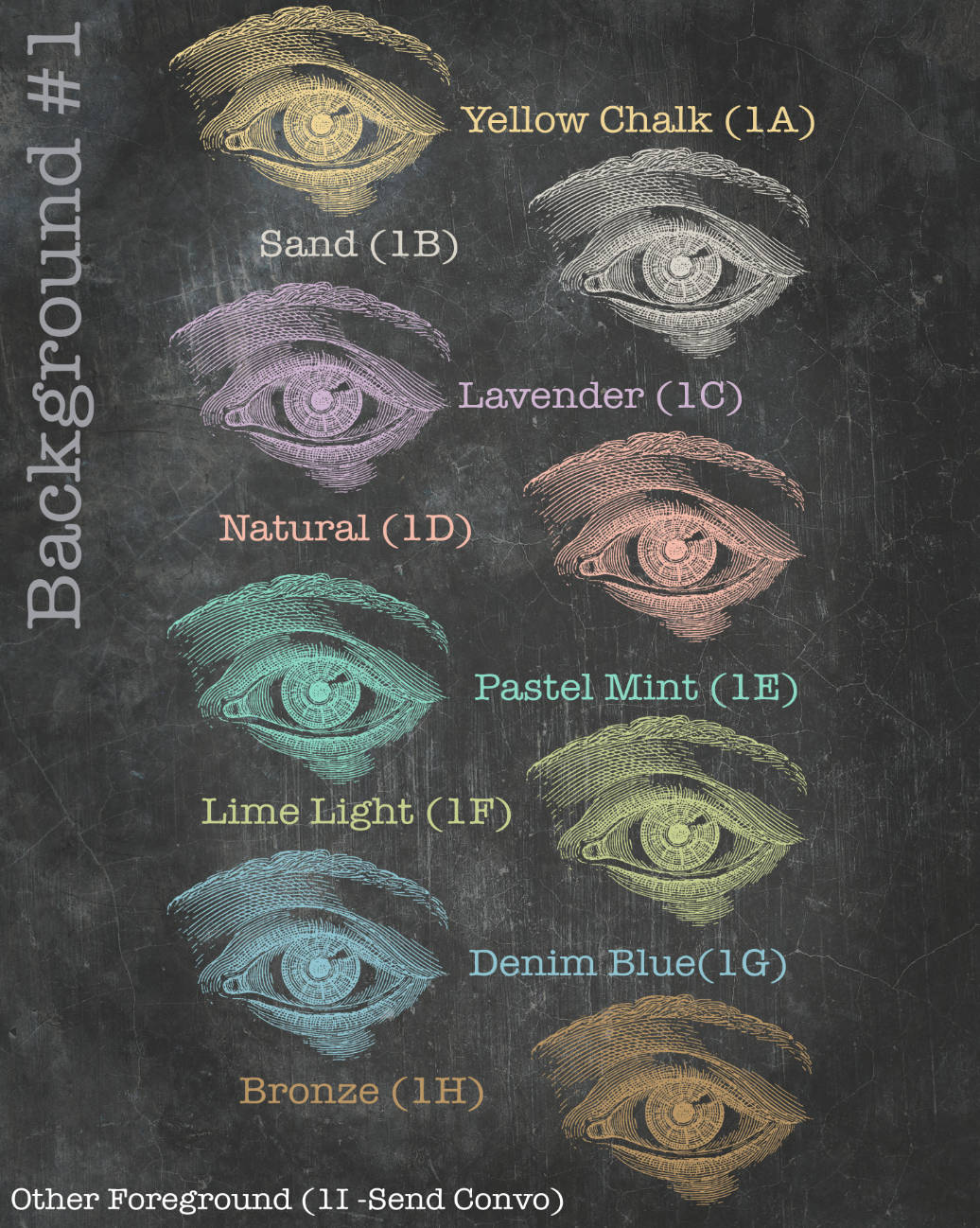 Human Hand Anatomy Reference Chart in Custom Colors // Massage | Etsy