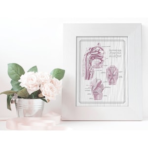 Pharynx and Larynx Voice Box Singer Customizable Grays Anatomy Chart ...