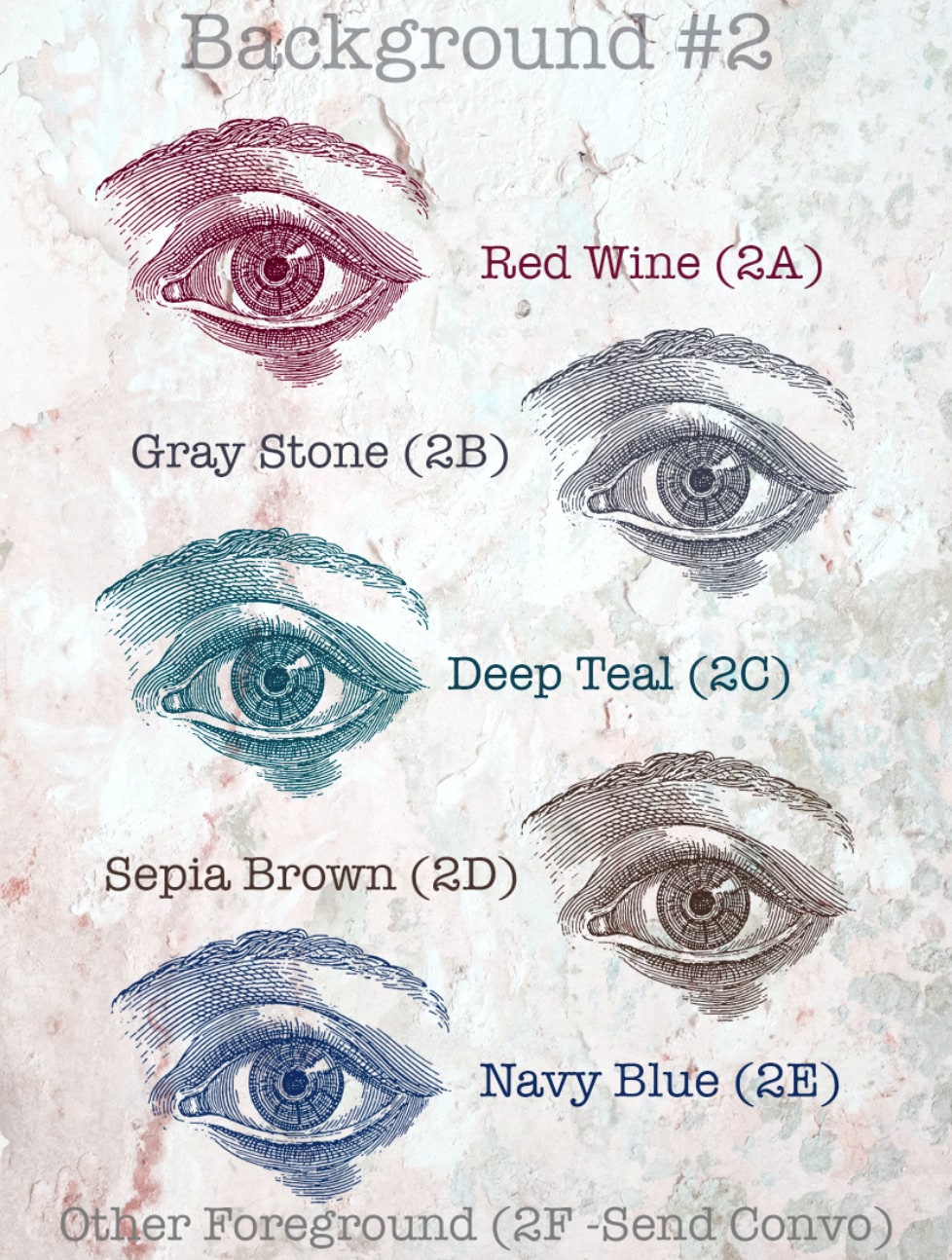 Back & Neck Muscles Anatomy Poster: Physical Therapy Art - Etsy