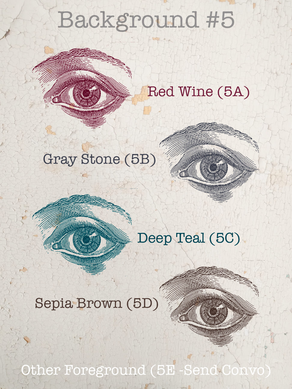 Human Hand Anatomy Reference Chart in Custom Colors // Massage | Etsy