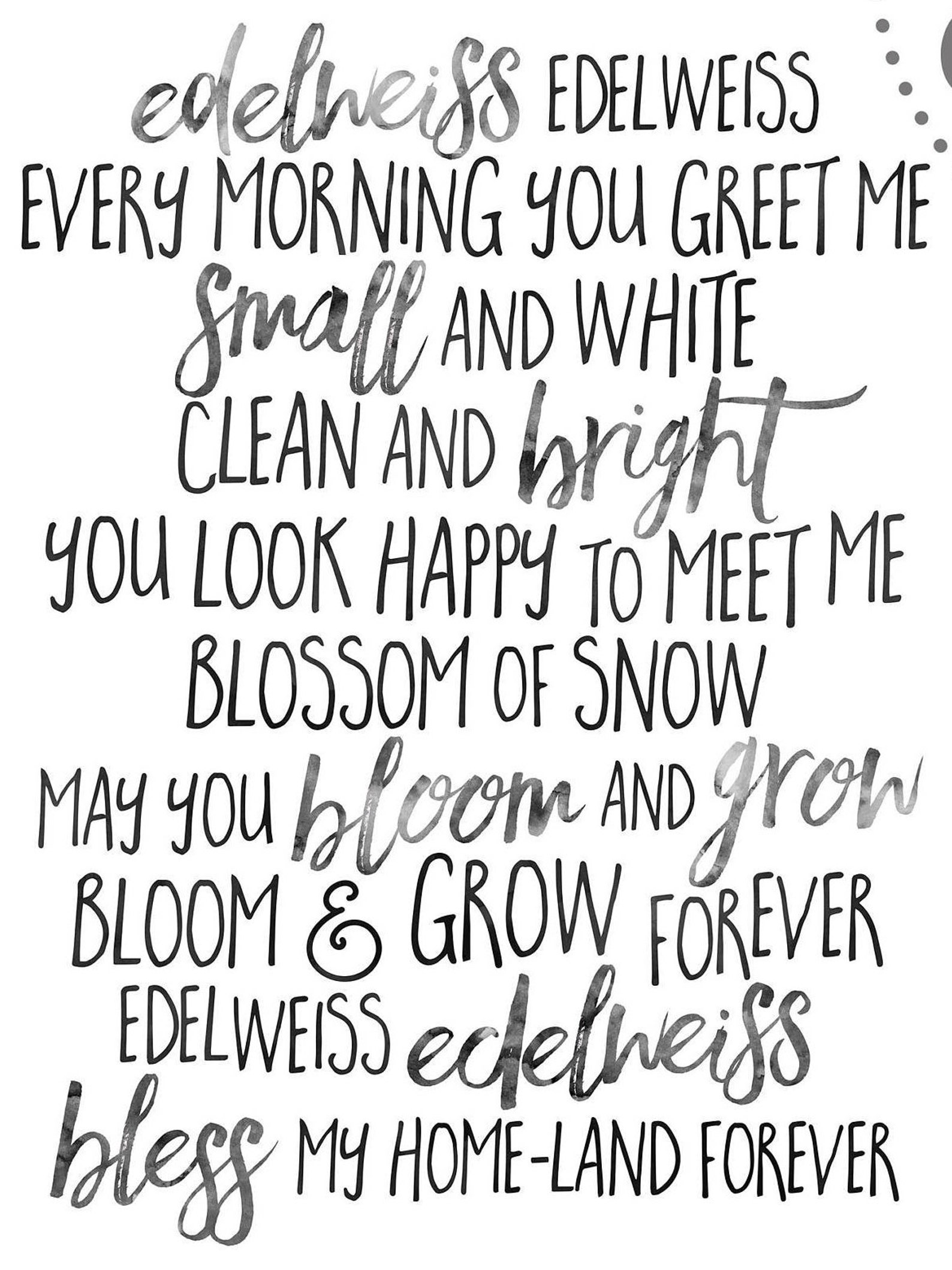 Edelweiss Lyrics From Sound of Music Gray DIGITAL DOWNLOAD - Etsy