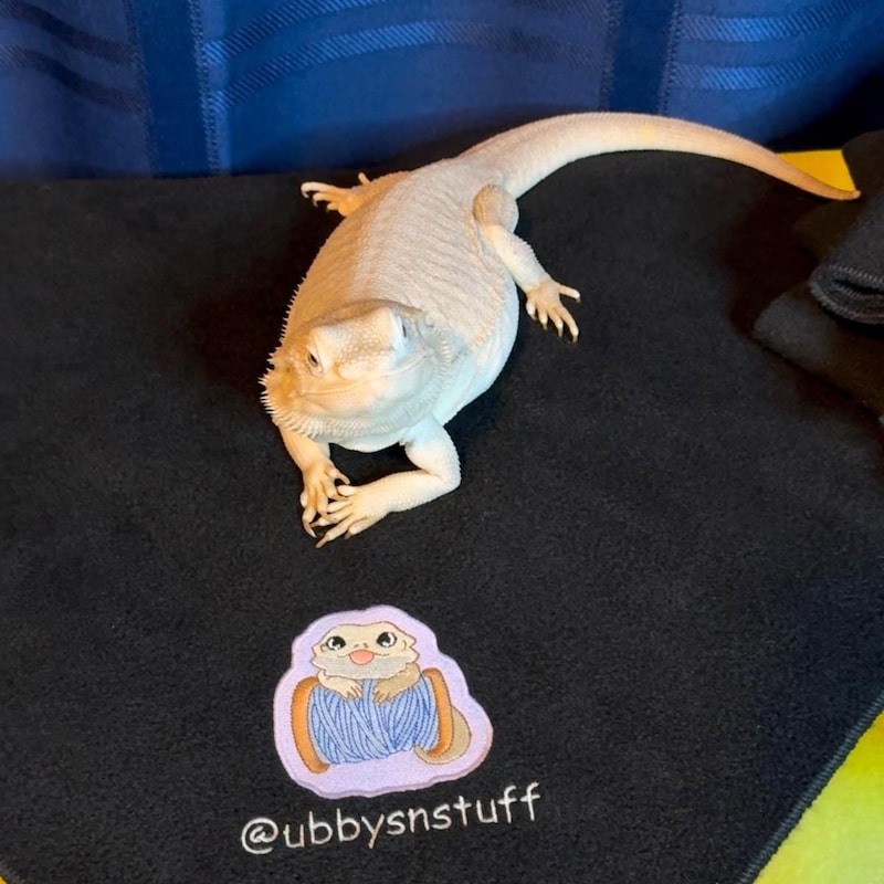 UbbysnStuff - Etsy