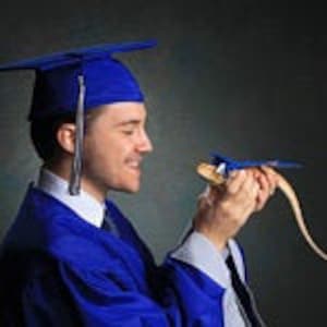 Bearded Dragon Graduation Cap and Gown - Etsy