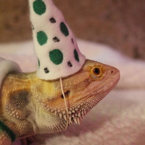 Bearded Dragon Happy Birthday Hats and Capes Costume - Etsy