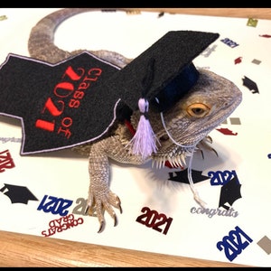 Bearded Dragon Graduation Cap and Gown - Etsy