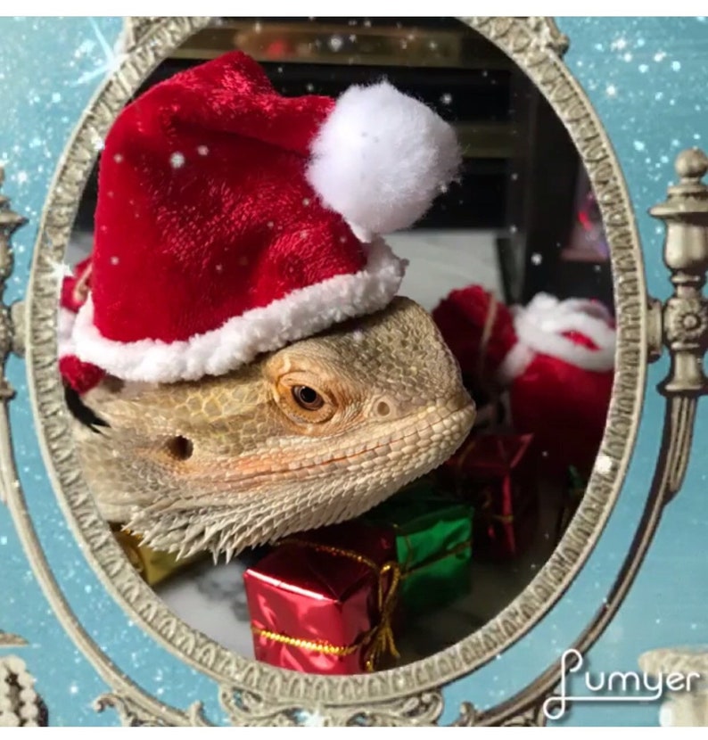 Bearded Dragon Santa Claus Christmas Santa Bag - Etsy