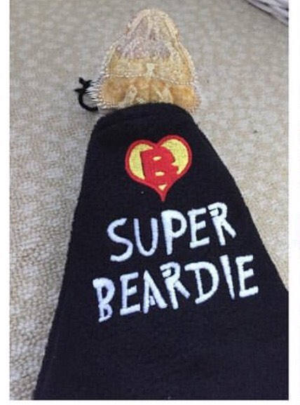 Bearded Dragon Super Beardie Cape Costume - Etsy